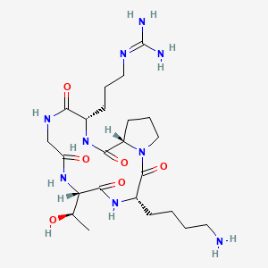 Selank Peptide Benefits for Mental Clarity and Reducing Anxiety
